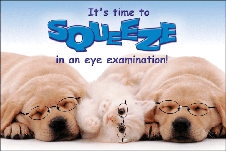 Funny Animal Recall Postcards (OPTTIME) | Purchase Recall Postcards for ...