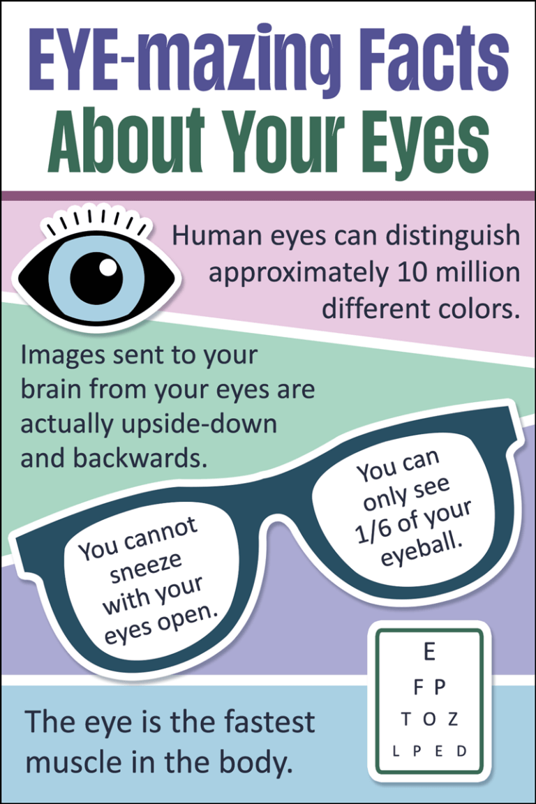 Optometry Educational Postcards (EYEMAZING) | Purchase Reminder ...